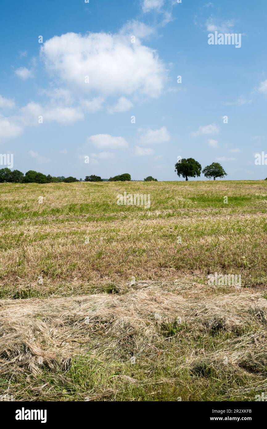 Farming trees land field hi-res stock photography and images - Alamy
