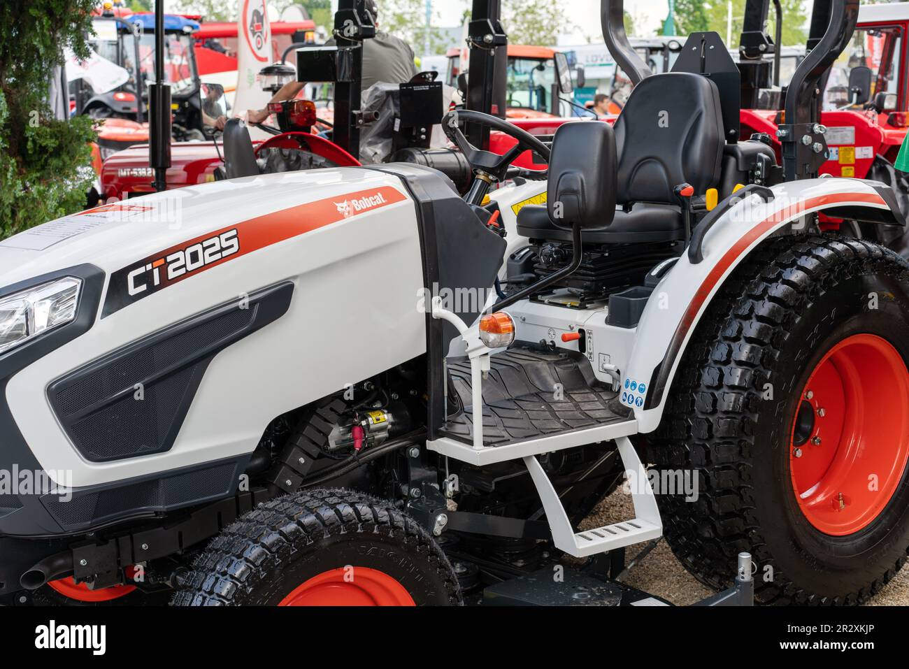 Sad bobcat hi-res stock photography and images - Alamy