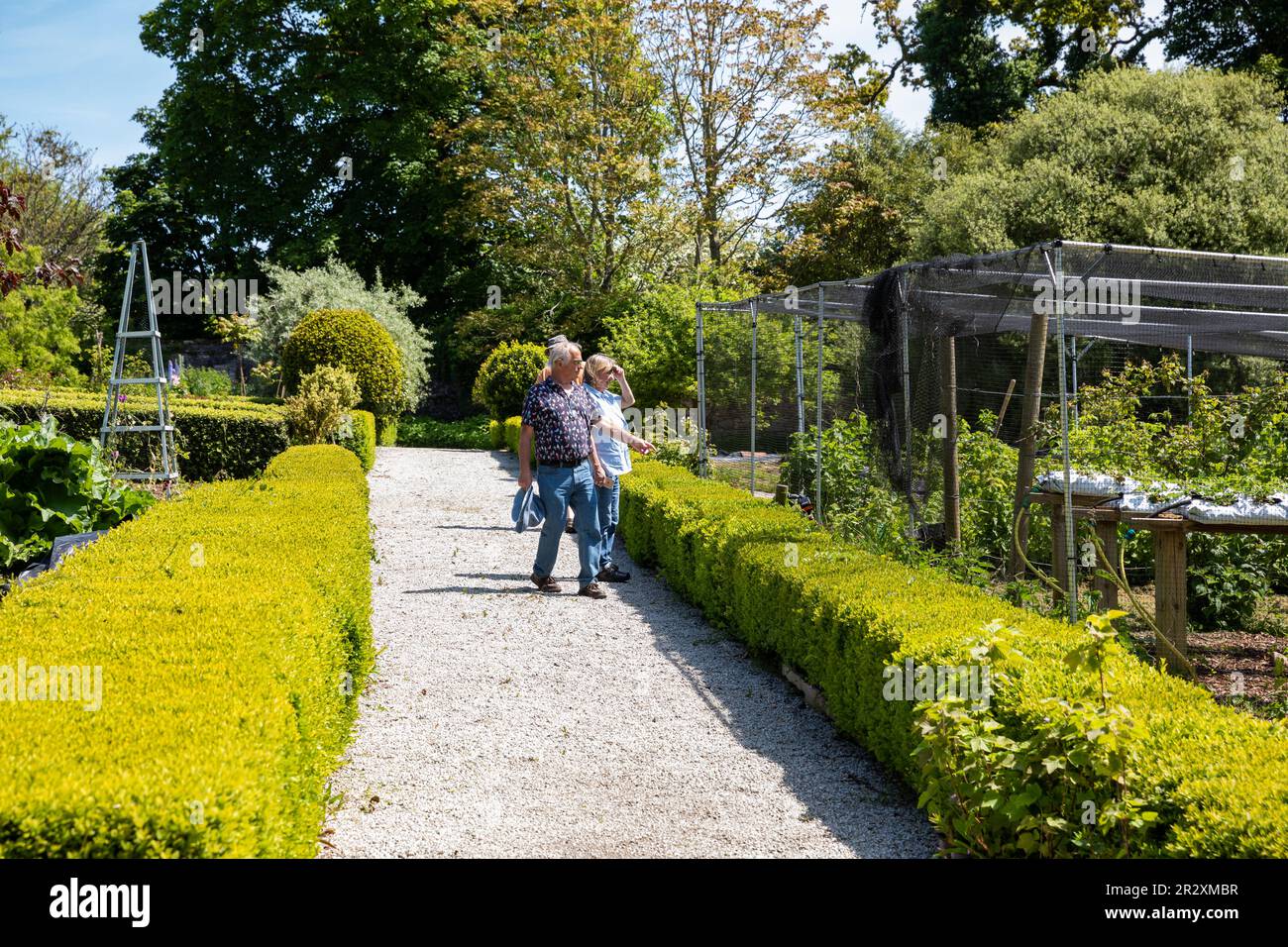 Visitors in the Trevince Gardens Estate, Gwenapp,Cornwall Stock Photo ...