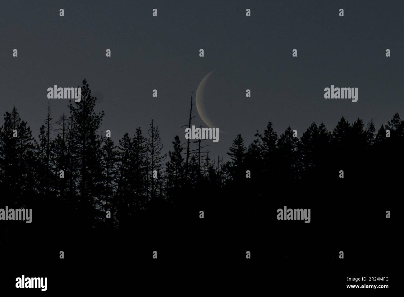 Waning crescent moon phase hi-res stock photography and images - Alamy