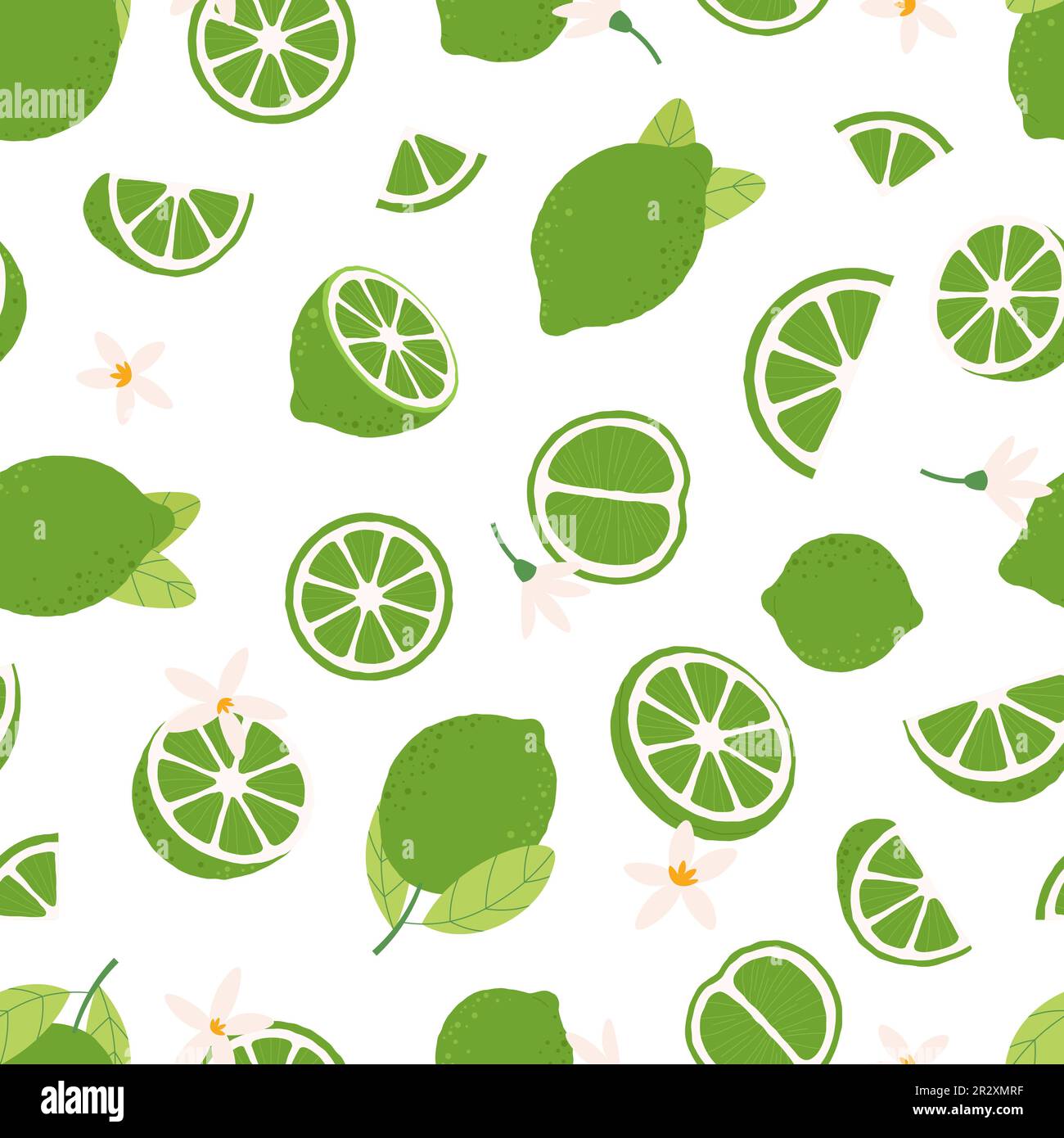 Fresh green limes, sour lime seamless pattern. mojito sliced and cutted ingredients. Vitamin ...