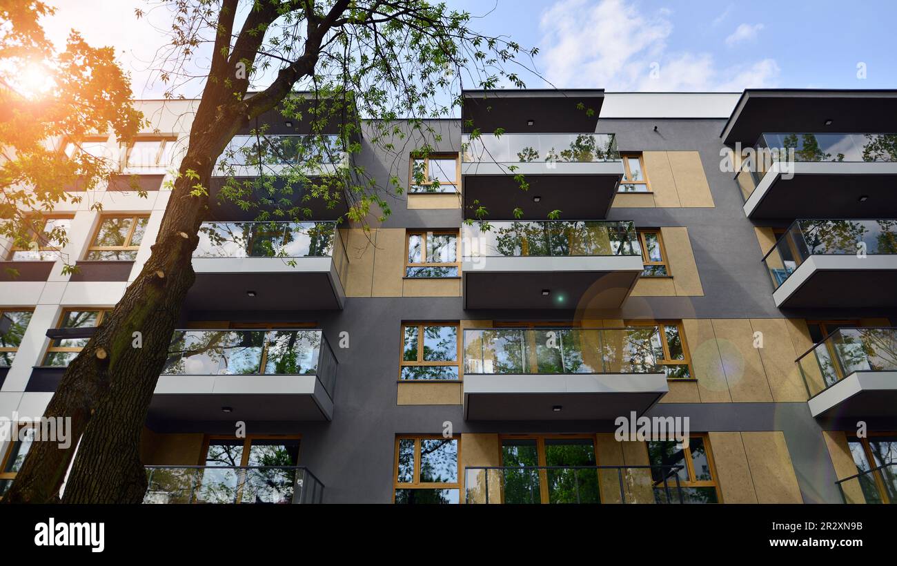 Eco architecture. Green tree and new apartment building. The harmony of ...