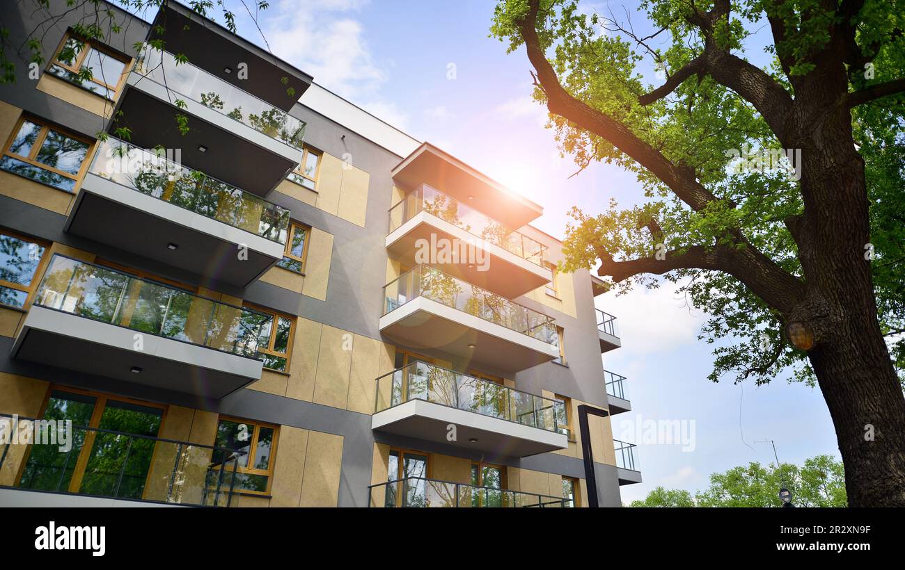 Eco architecture. Green tree and new apartment building. The harmony of ...