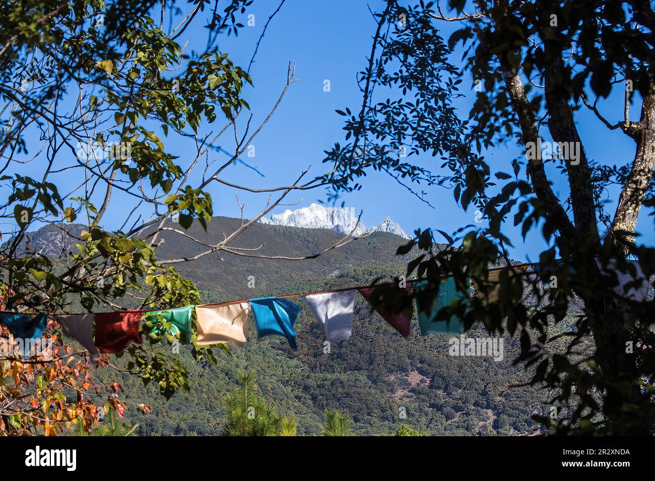 Yuhu china hi-res stock photography and images - Alamy