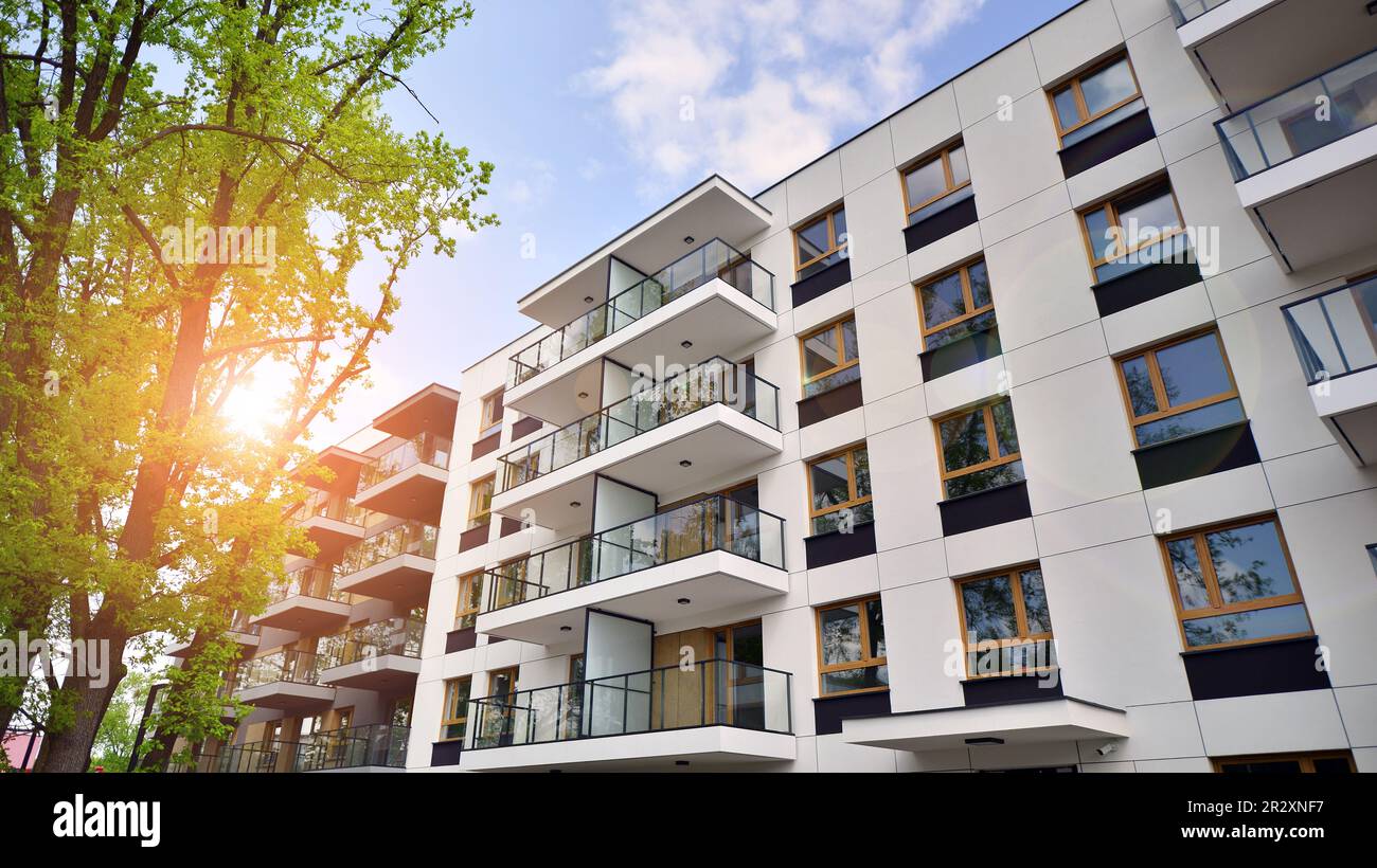 Eco architecture. Green tree and new apartment building. The harmony of ...