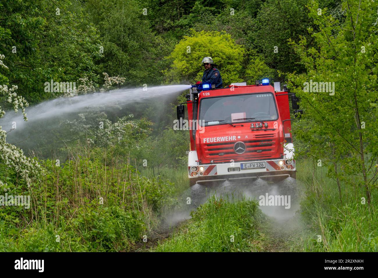 Forest fire fighting exercise of the Essen fire brigade, water supply ...