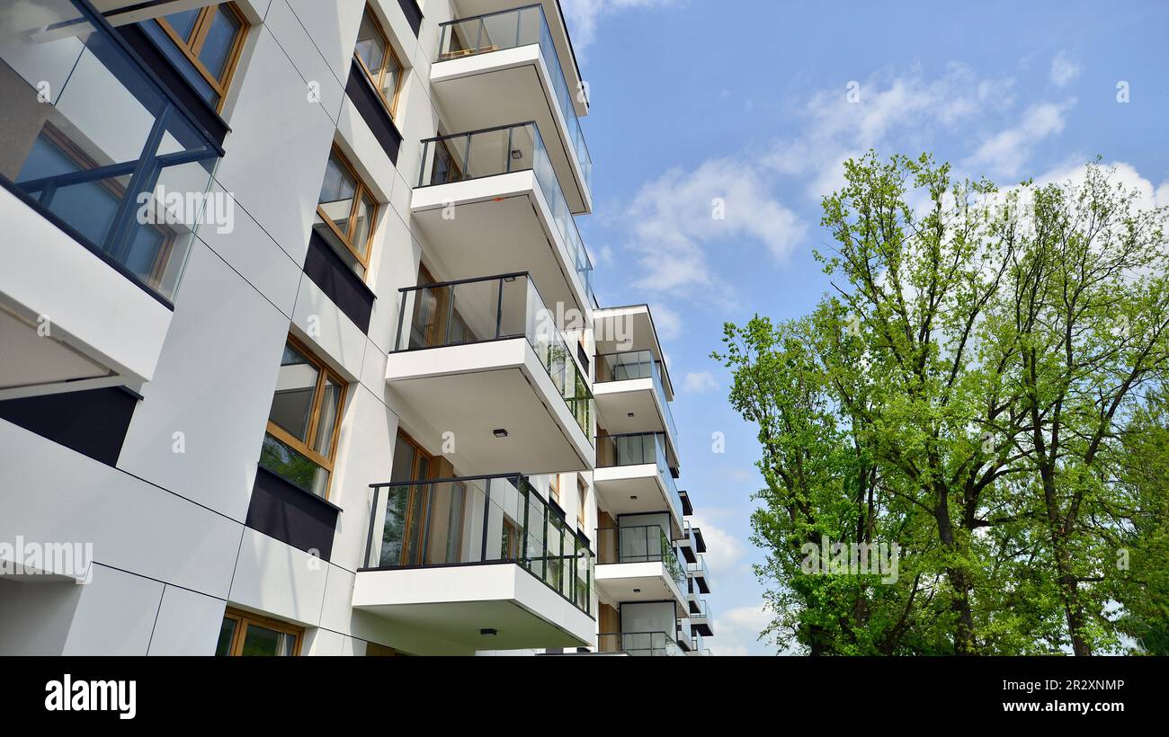 Eco architecture. Green tree and new apartment building. The harmony of ...