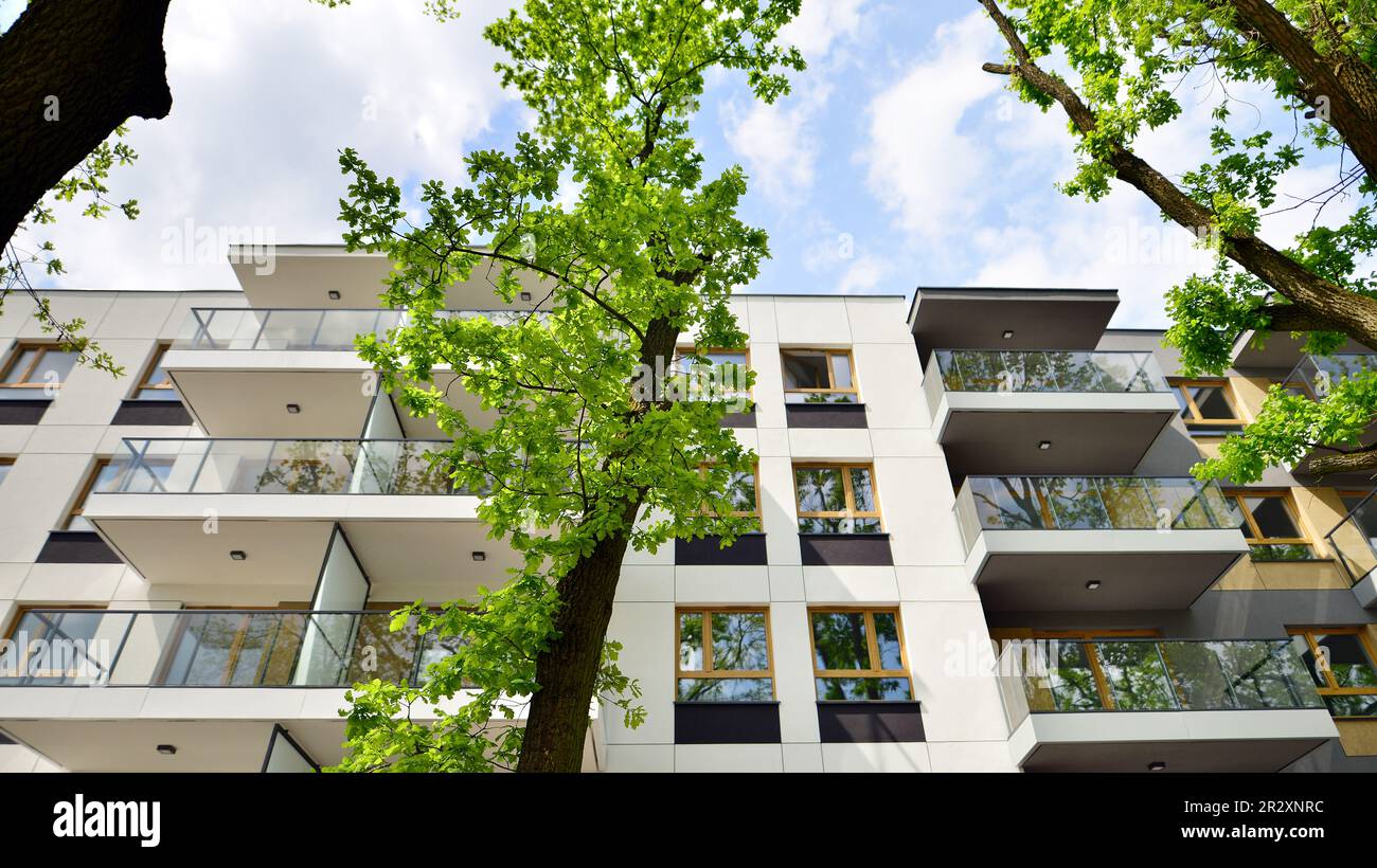 Eco architecture. Green tree and new apartment building. The harmony of ...