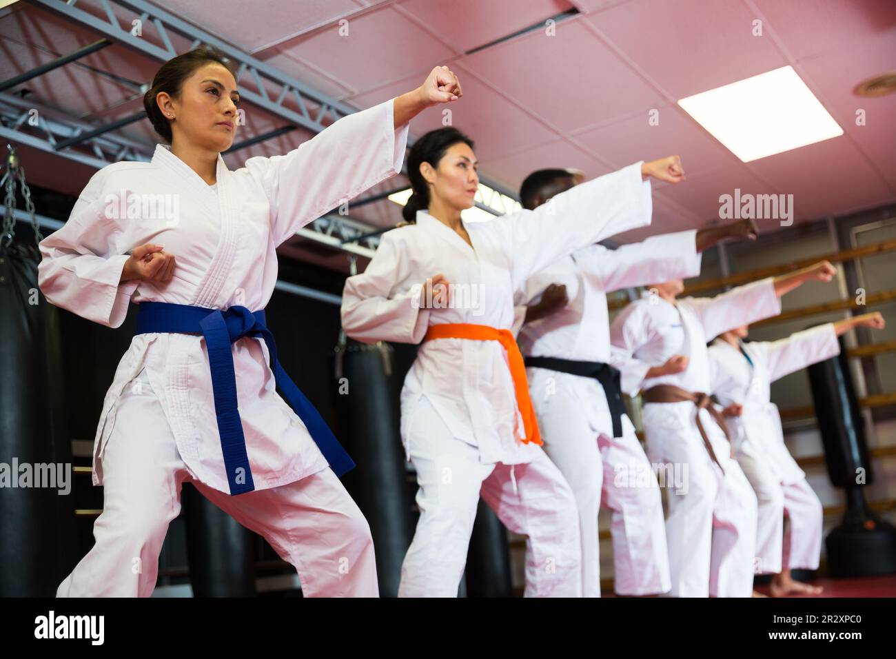 Karate or taekwondo training - athletes in kimono stand in fighting ...