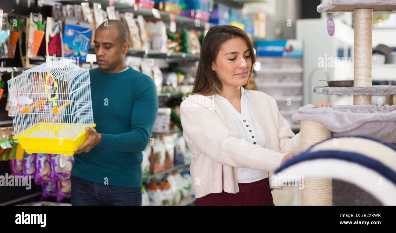 Female shopper chooses cat accessories at store Stock Photo - Alamy