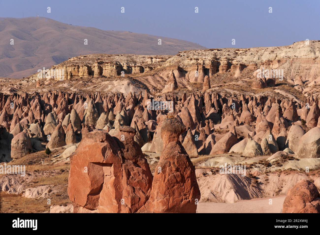 Stone soldiers hi-res stock photography and images - Alamy