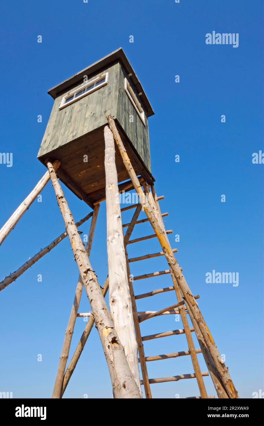 Hunter in the sky hi-res stock photography and images - Alamy