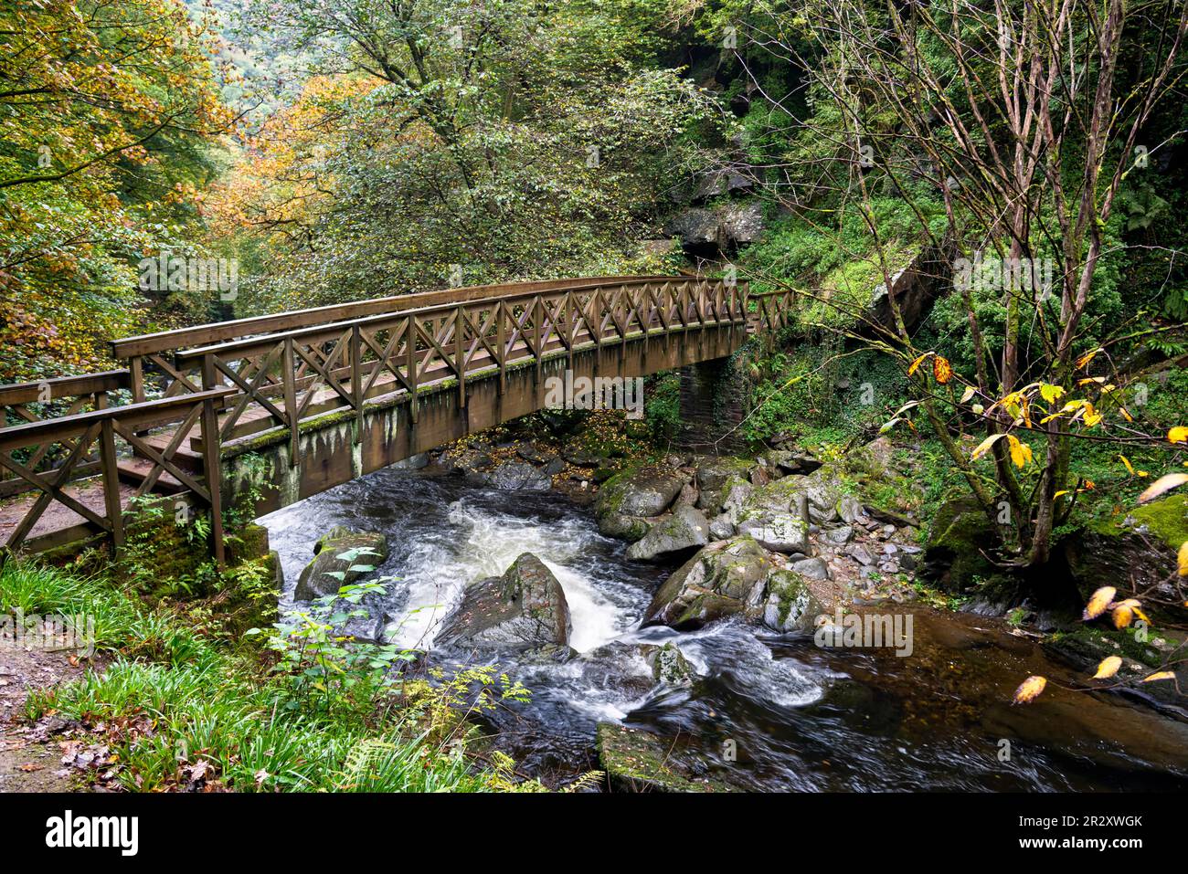 Bridge over the East Lyn River near Lynmouth in Devon Stock Photo - Alamy