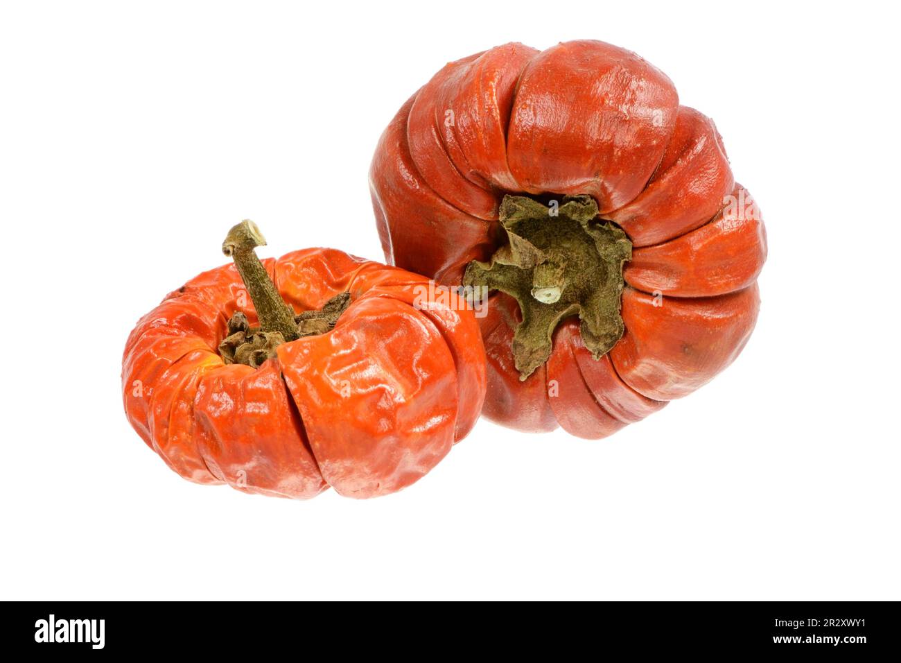 Dry red paprika deco, isolated on white Stock Photo - Alamy