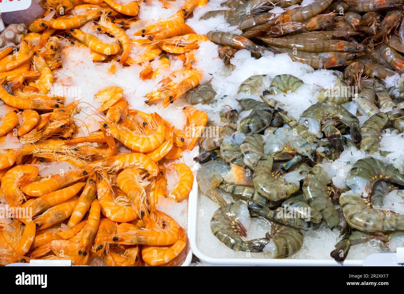 Different types of shrimp in one market Stock Photo - Alamy