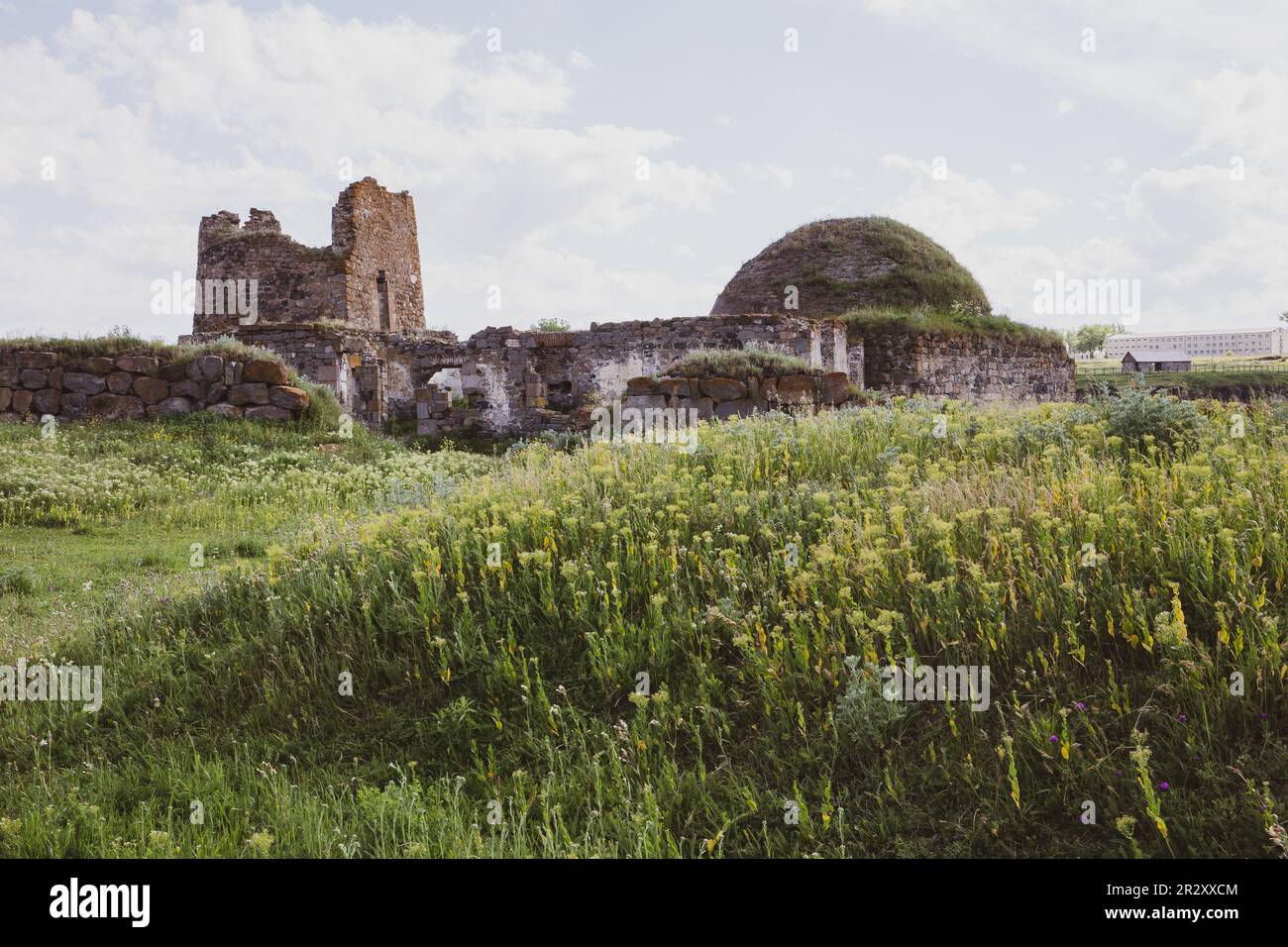 Akhalkalaki castle ruins with medieval mosque and tower overgrown with ...