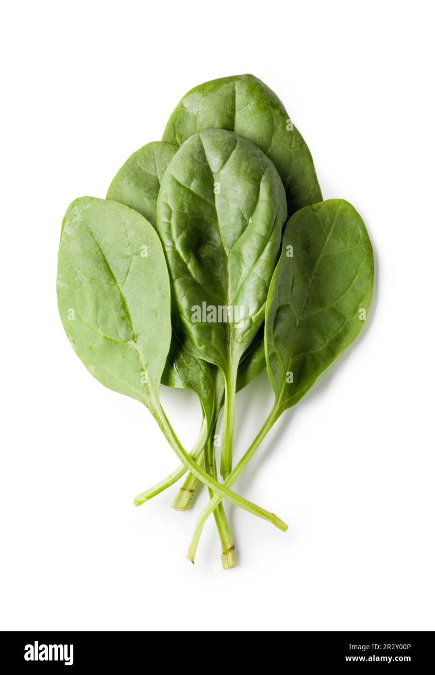 Fresh spinach isolated on white background Stock Photo - Alamy