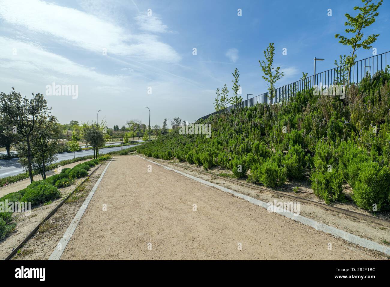 An urban park with a sandy path flanked by flowering plants, hedges and ...