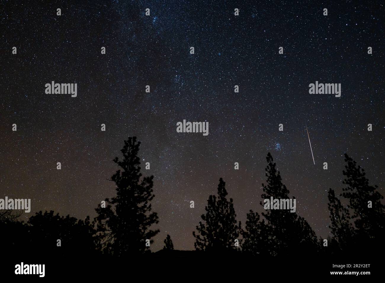 Leonids Meteor Shower Fireball Night Sky Skyscape Timelapse. Oregon ...