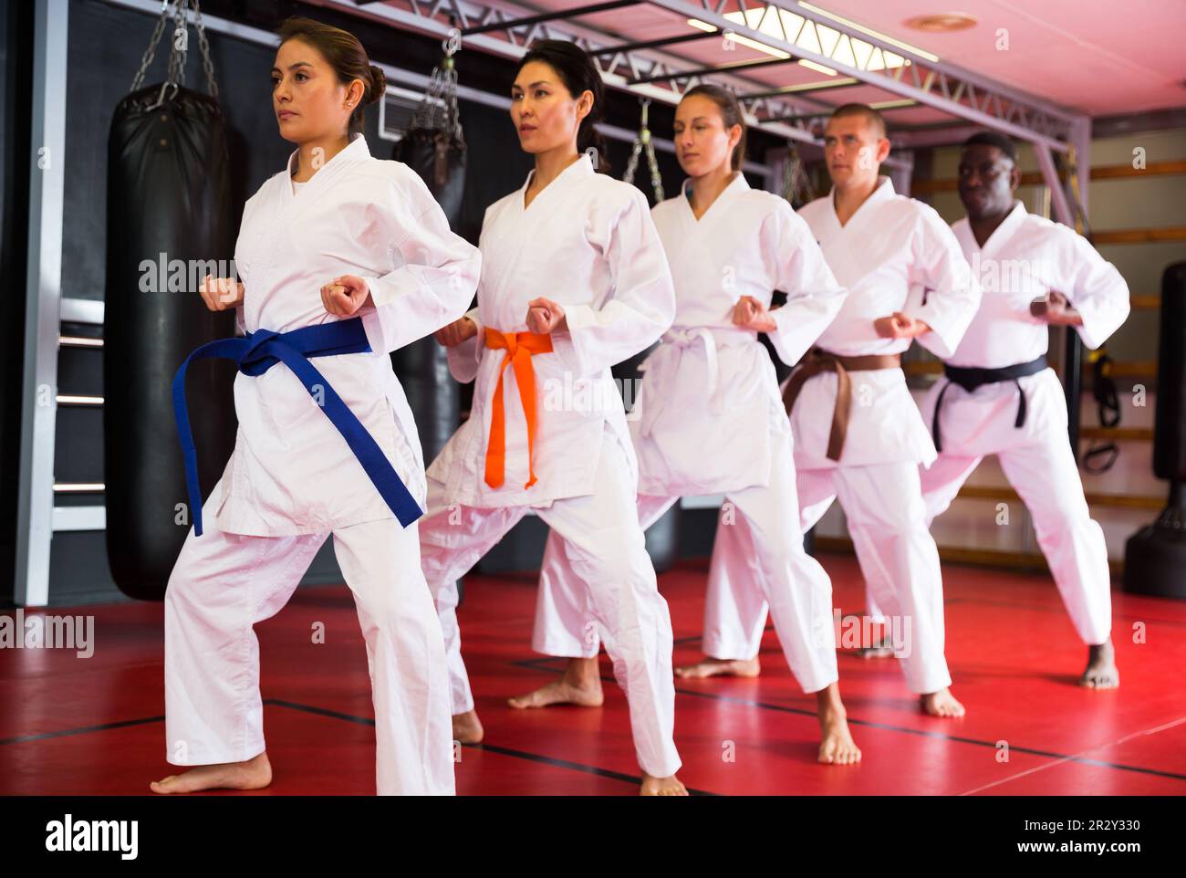 Multiracial group of people doing kata moves in gym Stock Photo - Alamy