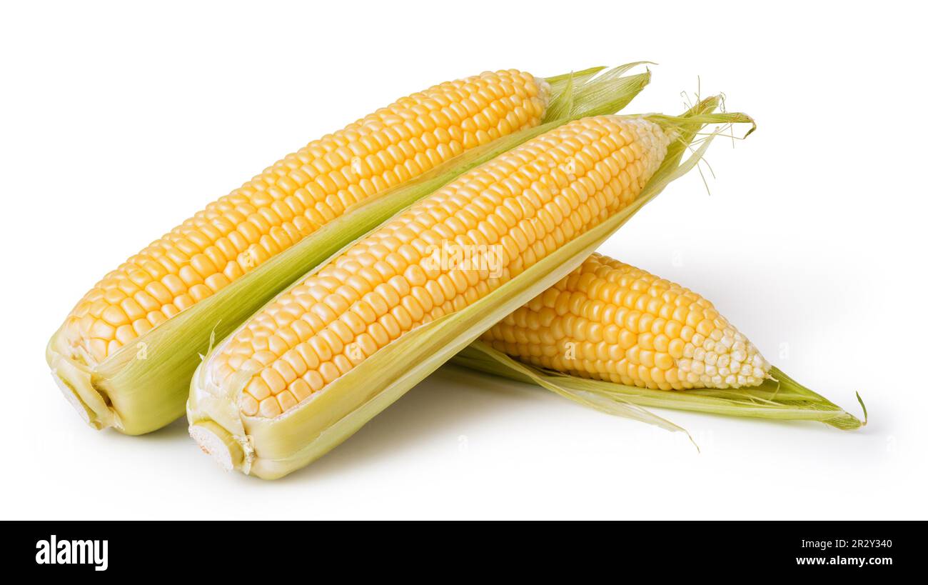 corn isolated on a white background Stock Photo - Alamy