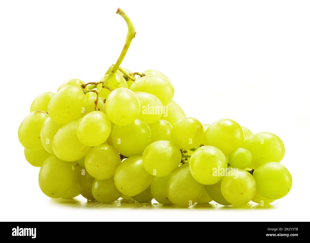 Bunch of grapes against the light hi-res stock photography and images ...