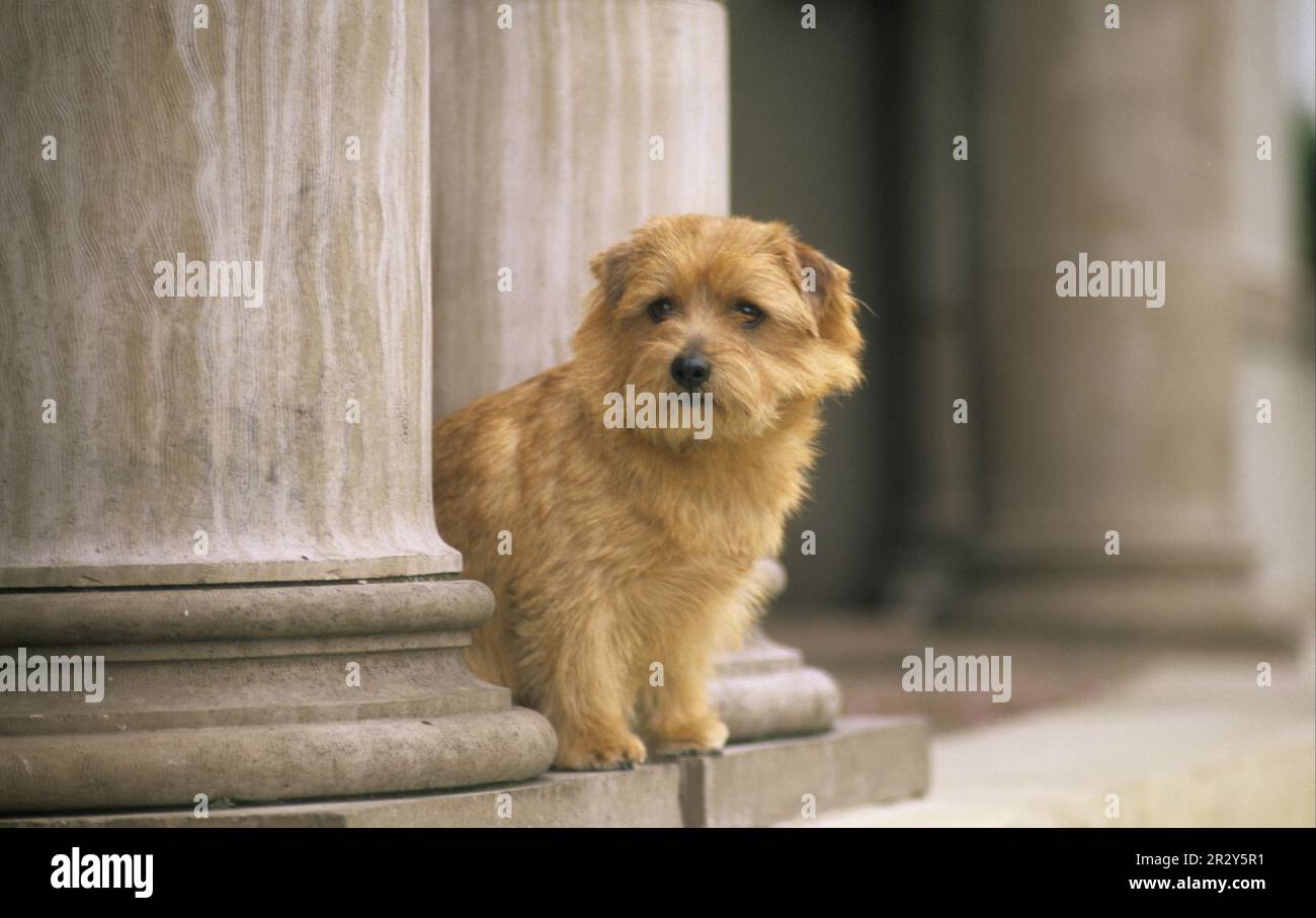 Between two pillars hi-res stock photography and images - Alamy