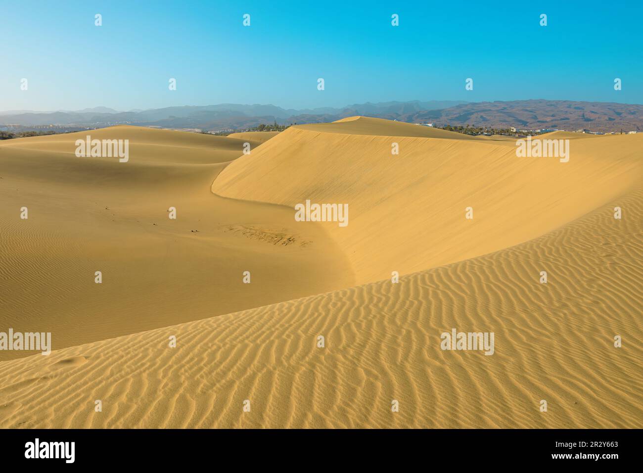 Maspalomas Dunes of Gran Canaria is a stunning desert landscape nestled ...