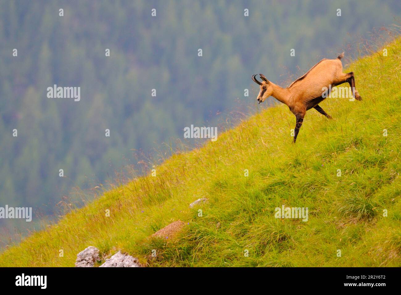 Down slope movement hi-res stock photography and images - Alamy