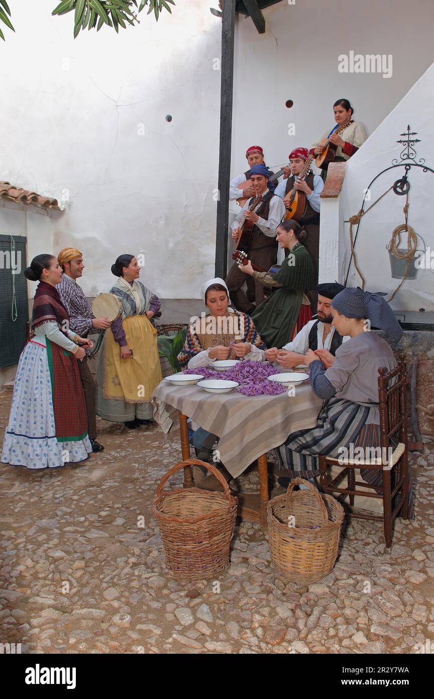 Plucking Saffron Flower Scars, Saffron Processing, Consuegra, Fiesta de ...