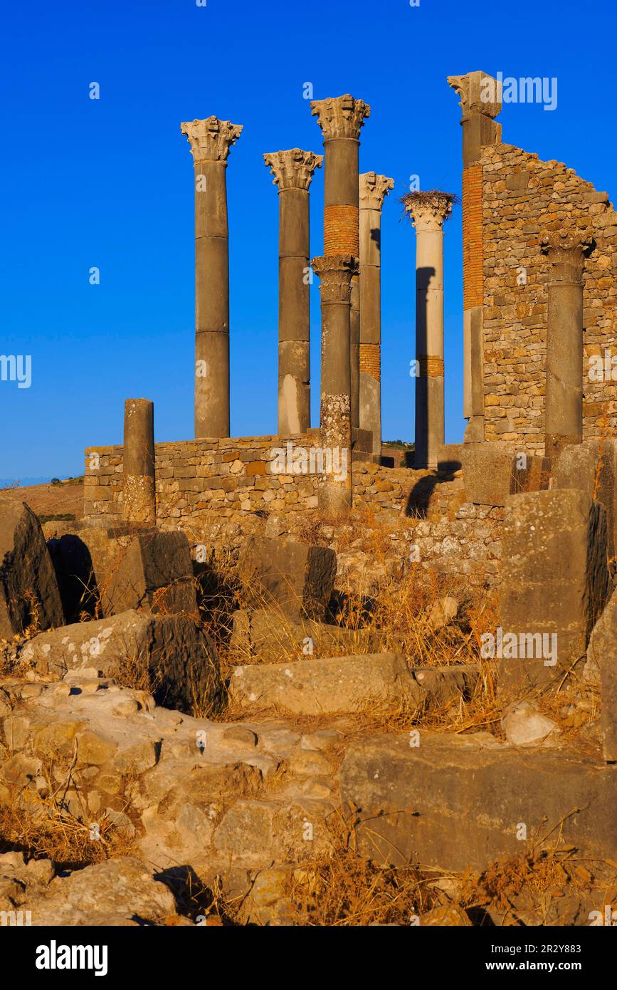 Volubilis, Mulay Idris, Meknes, Roman ruins of Volubilis, UNESCO World ...