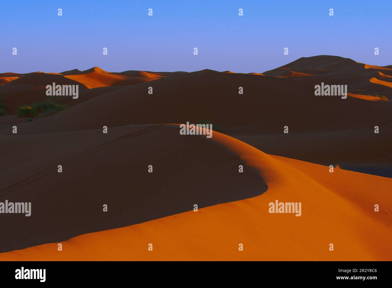 Morocco national park hi-res stock photography and images - Alamy