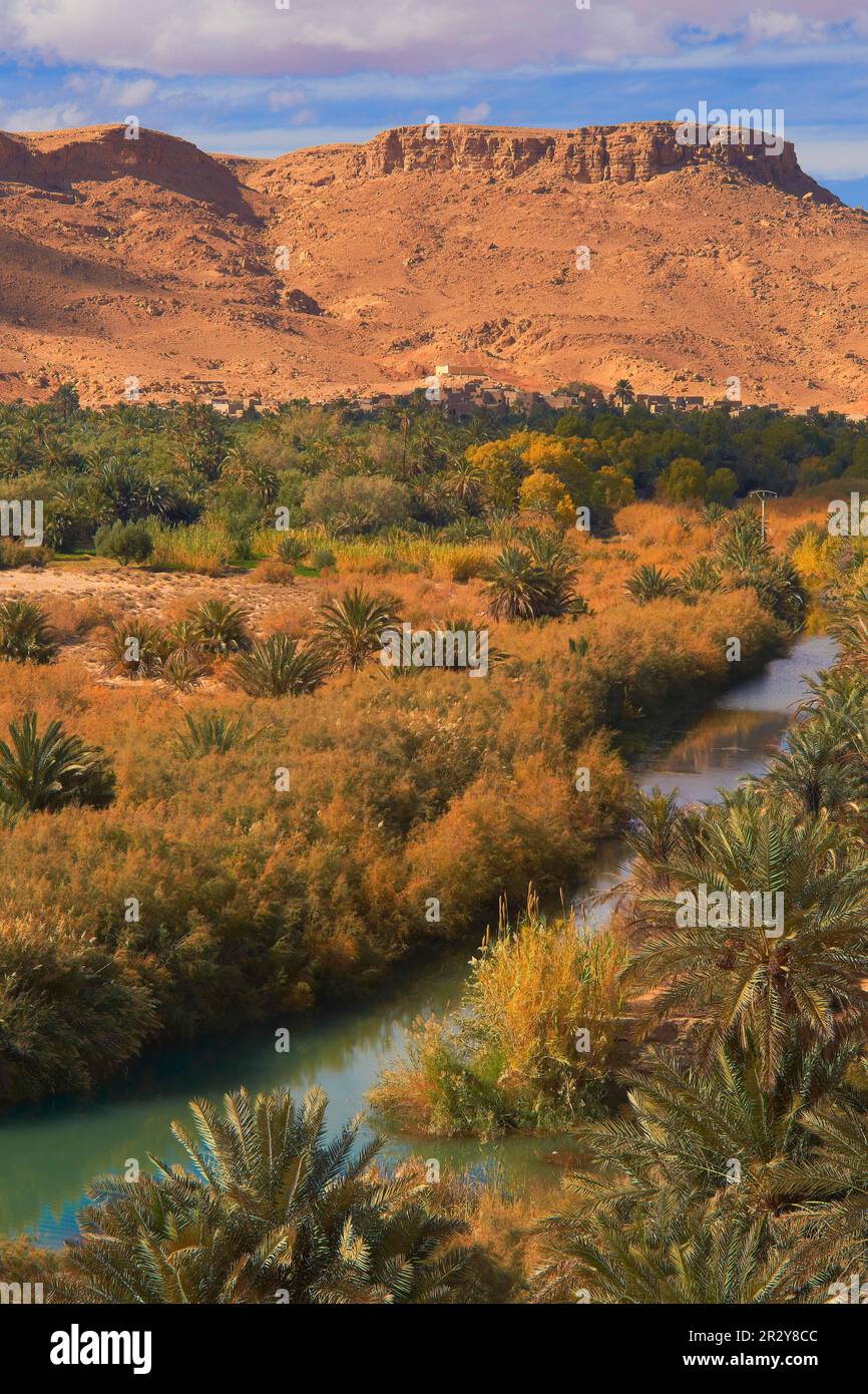 Tafilalet Oasis, Tafilalt Oasis, Ziz River, Gorges du Ziz, Ziz Valley ...