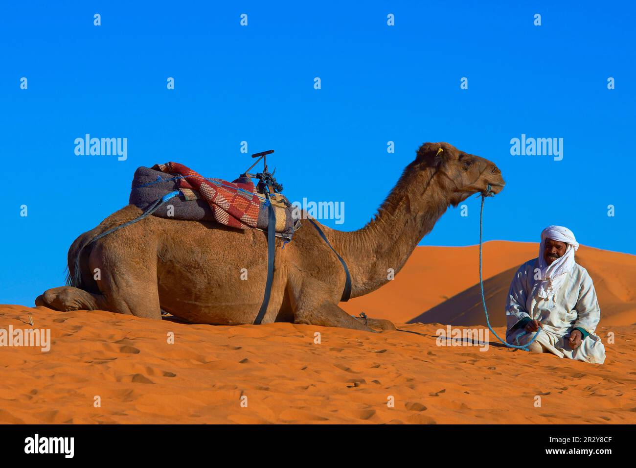Merzouga, Erg Chebbi, Merzouga sand dunes, Tuareg with camel, Sahara ...