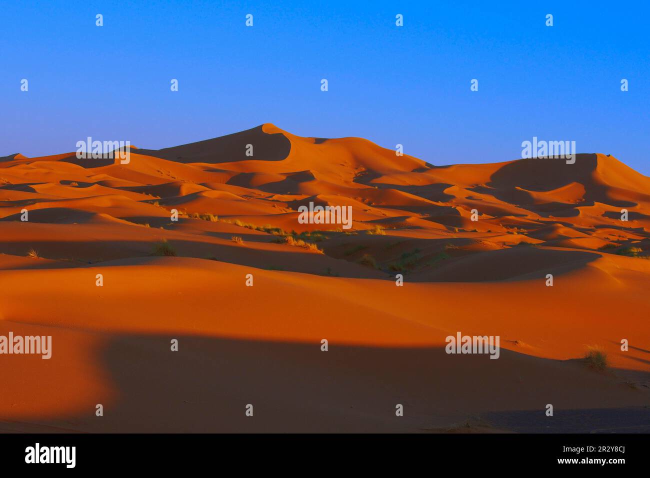 Merzouga, Erg Chebbi, Merzouga Sand Dunes, Sahara Desert, Maghreb ...