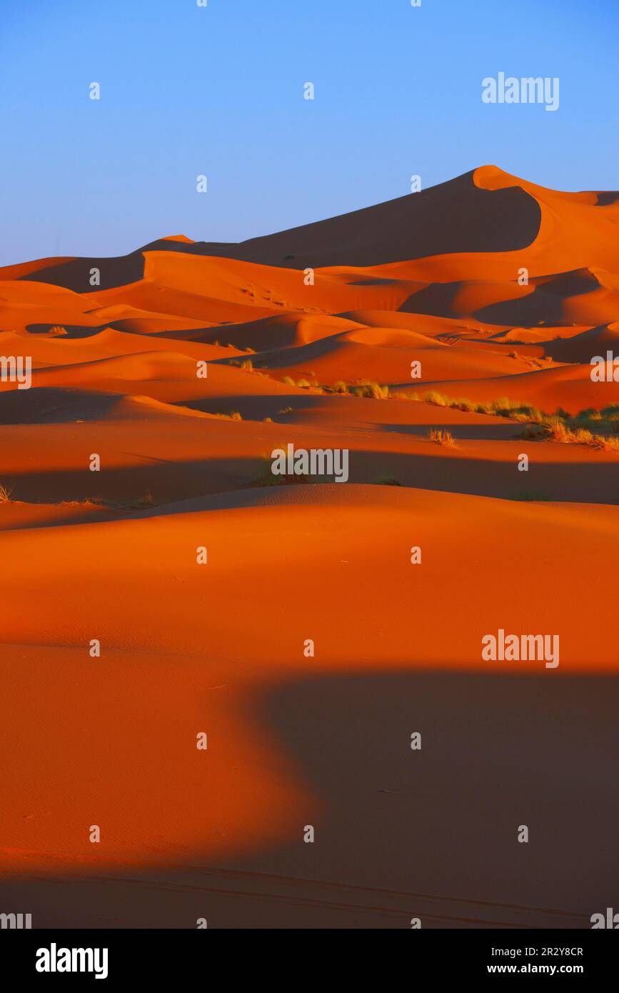 Merzouga, Erg Chebbi, Merzouga Sand Dunes, Sahara Desert, Maghreb ...