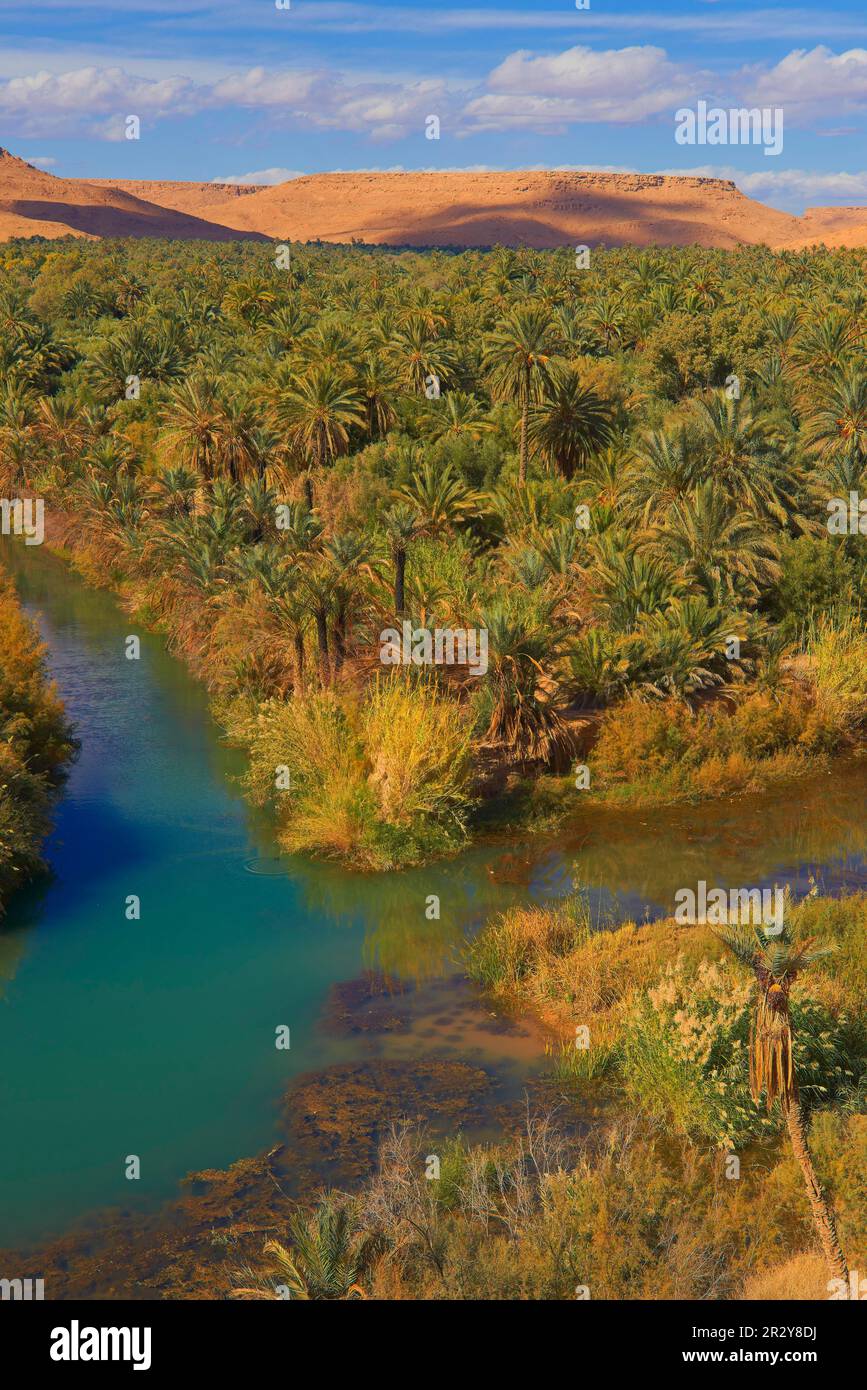 Tafilalet Oasis, Tafilalt Oasis, Ziz River, Gorges du Ziz, Ziz Valley ...