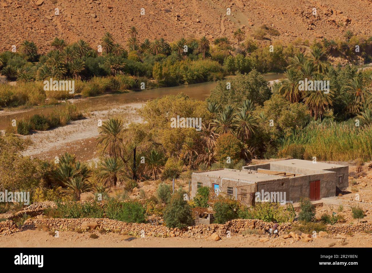 Ziz River, Oued Ziz, Gorges du Ziz, Ziz Valley, Ziz Gorges, Oasis ...