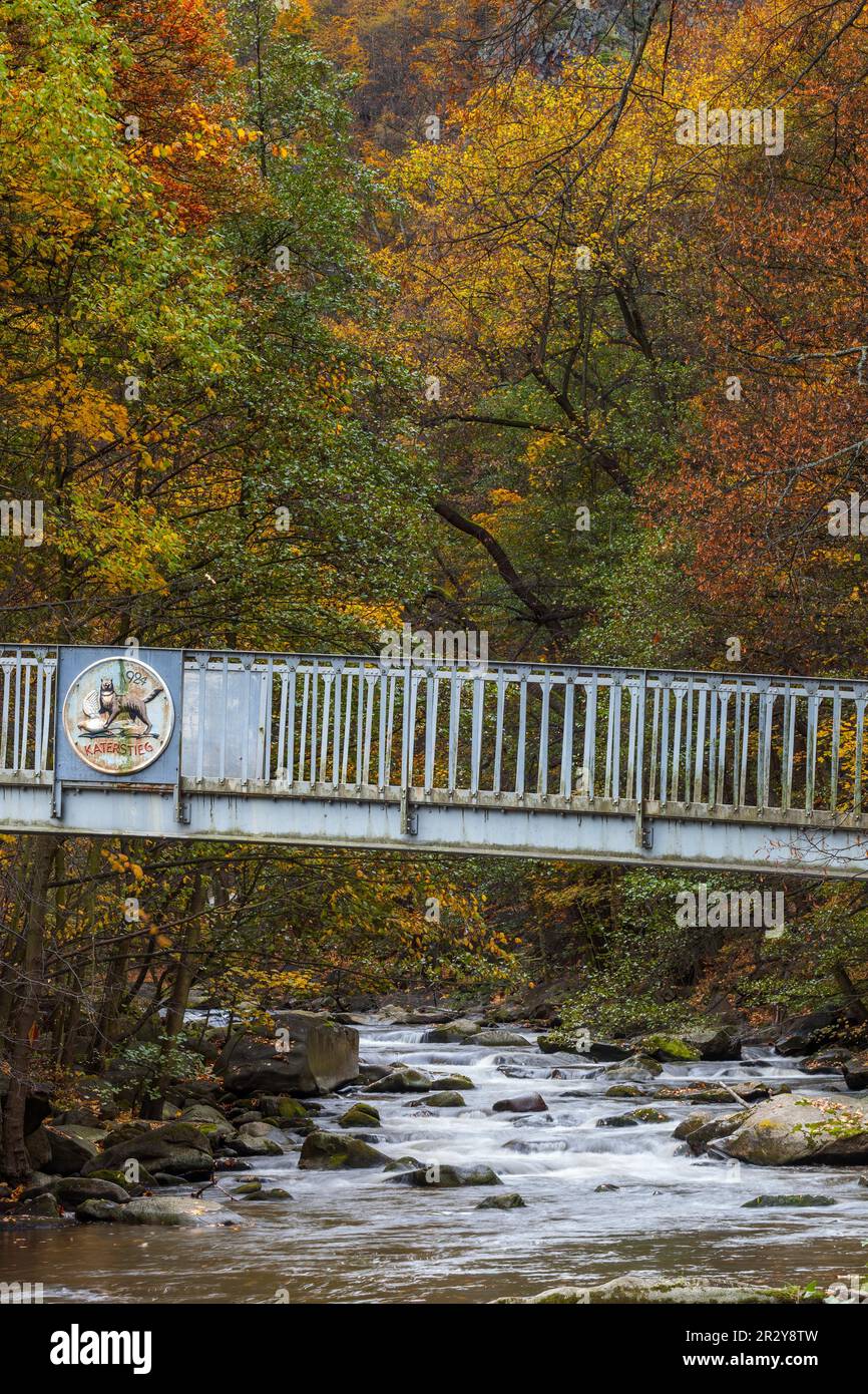 Bode, Bode Valley near Thale Stock Photo - Alamy