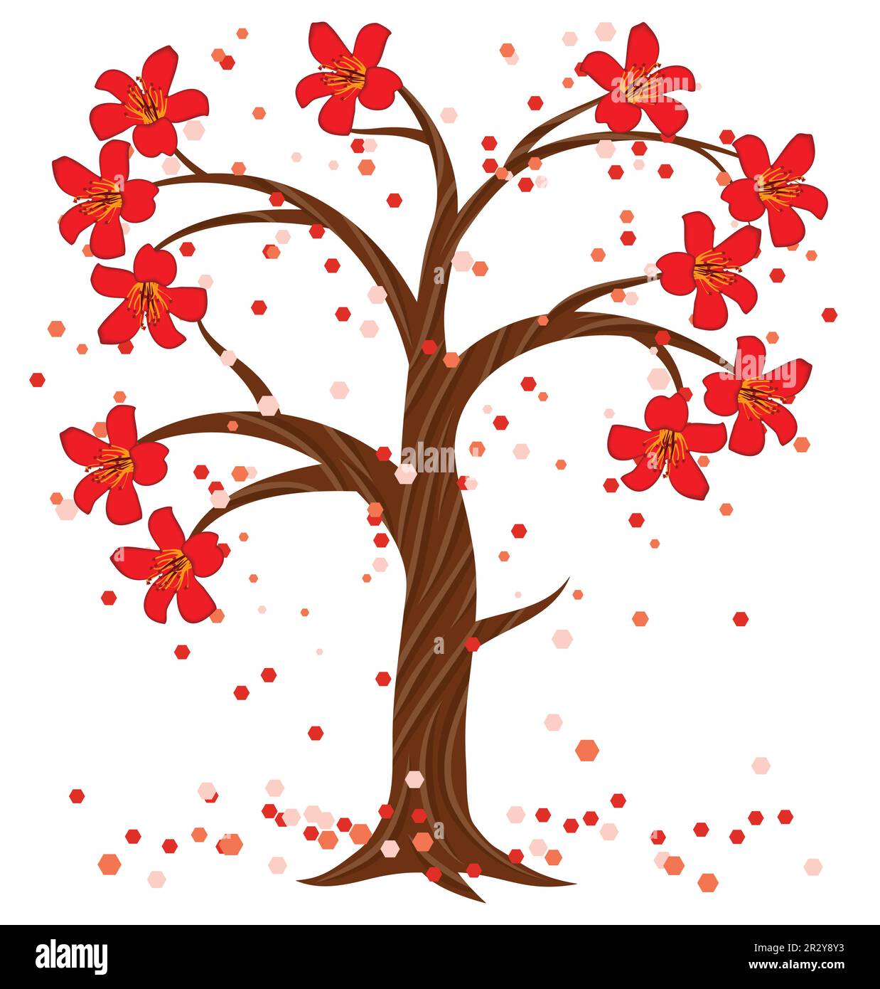 Isolated tree with big red bombax flowers on white background Stock ...