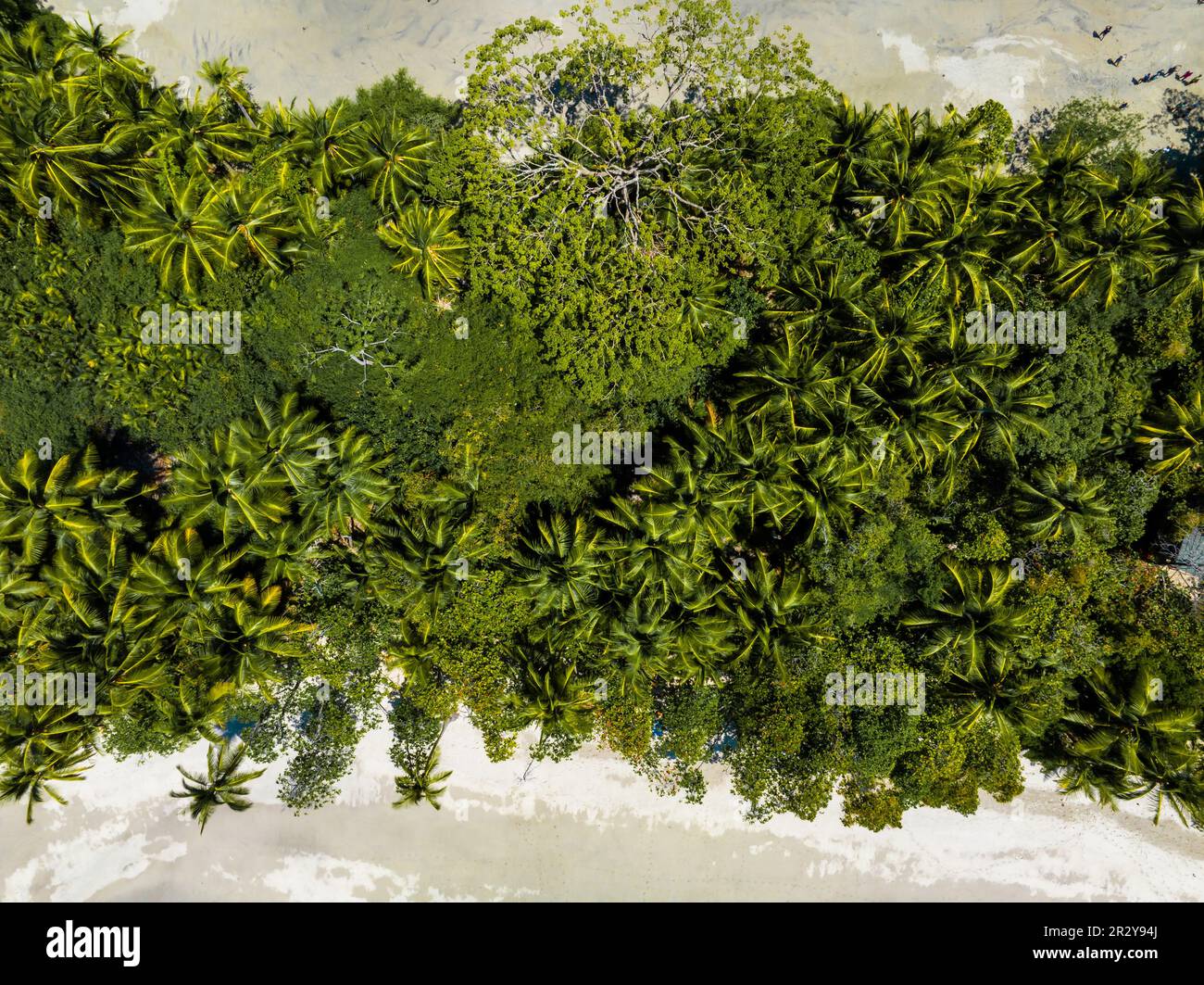 Aerial bird's eye view photo taken by drone of tropical seascape Stock ...
