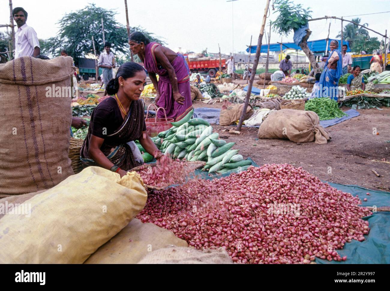 A woman winnowing small onions Sambar Onions Shallots, periodical market weekly market at ...