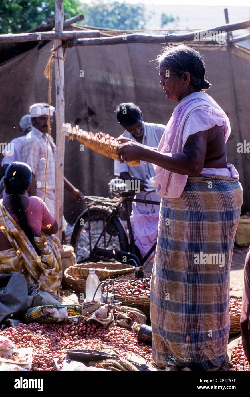 An old woman winnowing small onions Sambar Onions Shallots, periodical ...