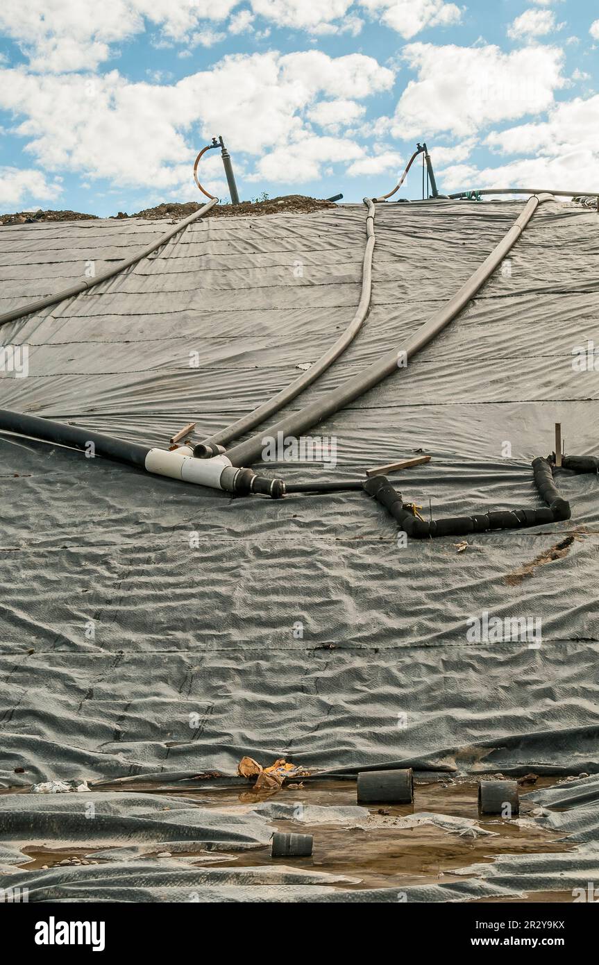 Hoses joining methane gas wells to a trunk line in an active landfill ...