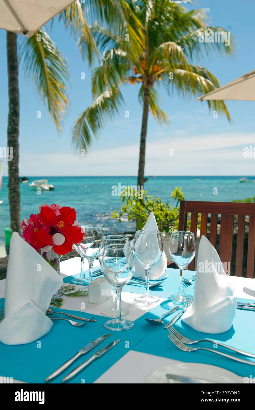 Luxurios decorated lunch table with hibiscus flower under palmtree ...
