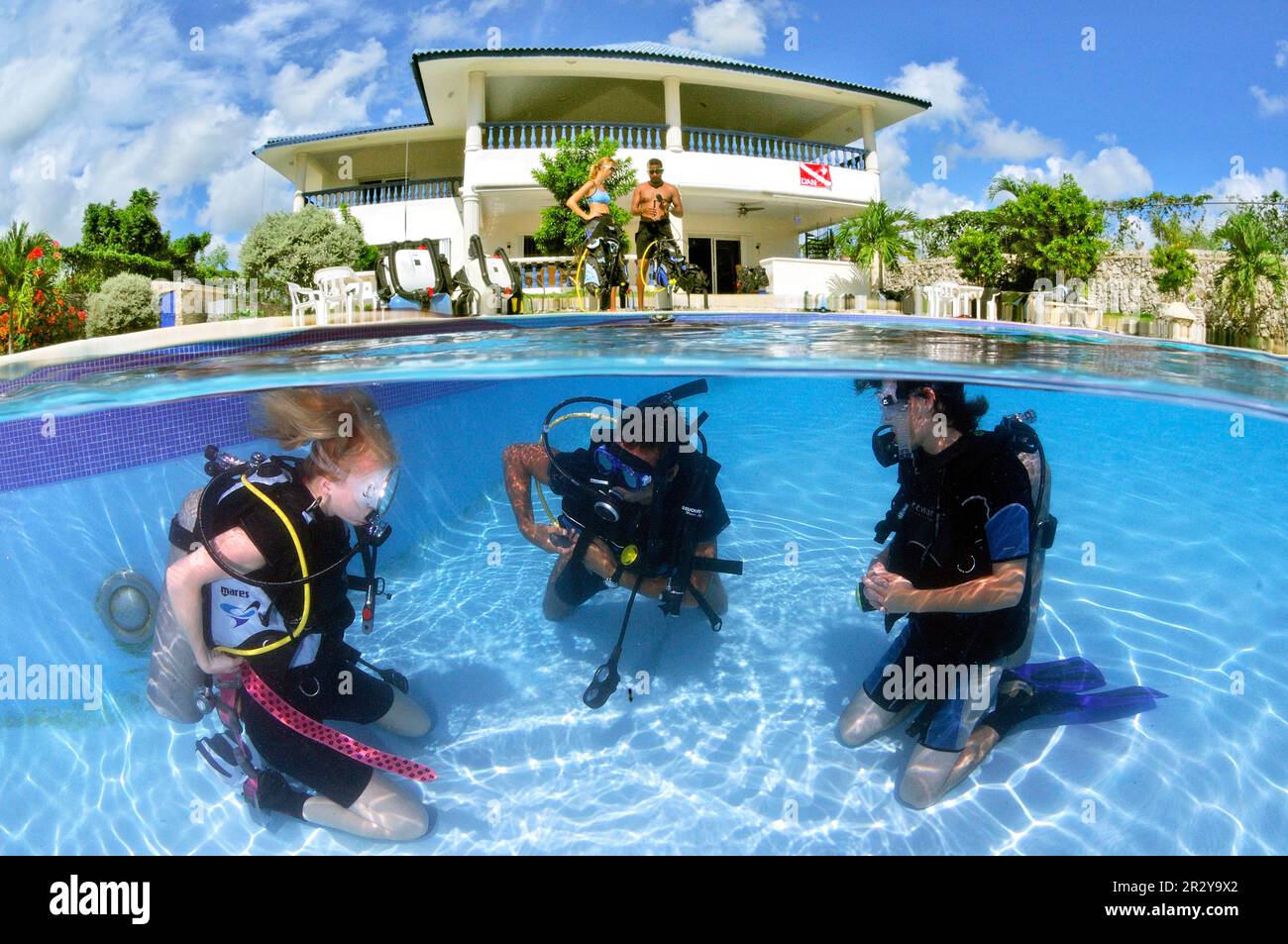 Diver in swimming pool, diving course, diving training Stock Photo - Alamy