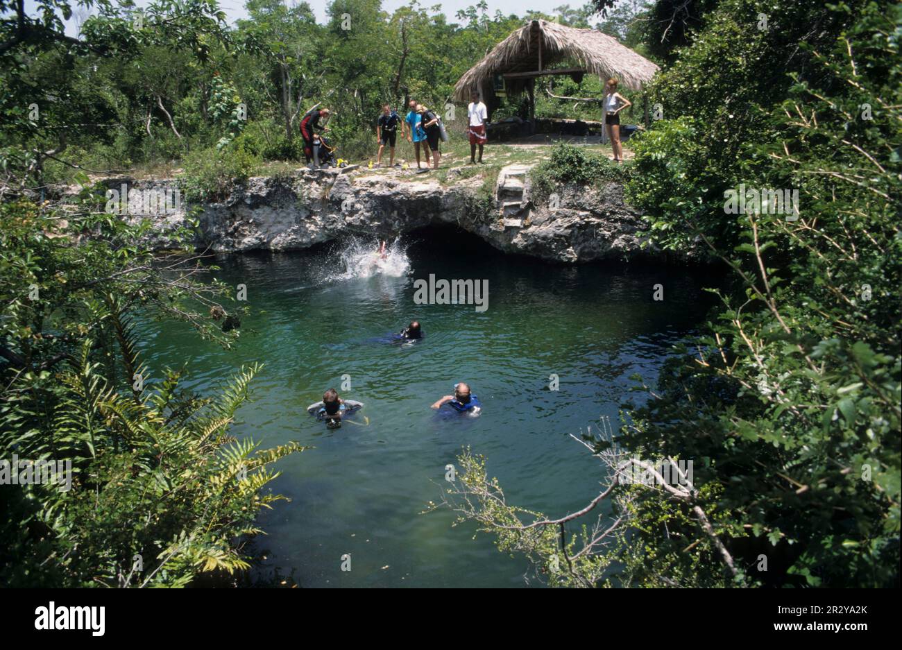 Diver in cenote, entrance to Laguna Pepe underwater cave, Punta Cana ...