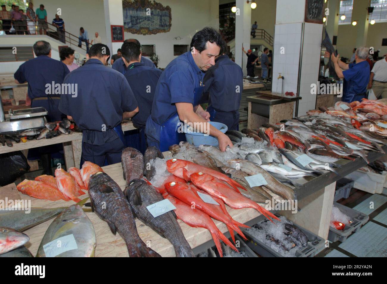 Funchal Fish Market, Madeira, Portugal Stock Photo - Alamy