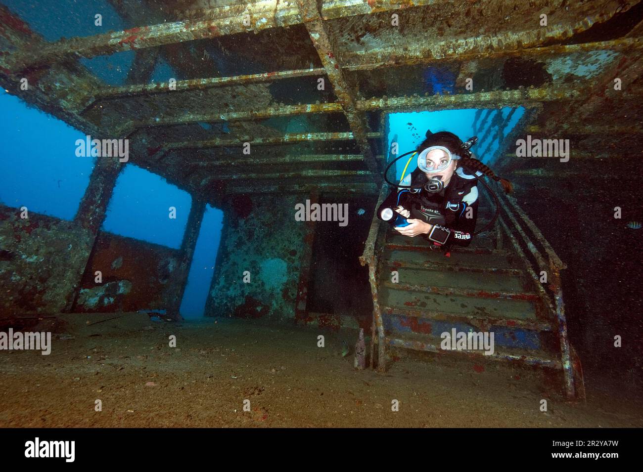 Diver in Wreck Atlantic Princess, Bayahibe, Dominican Republic ...