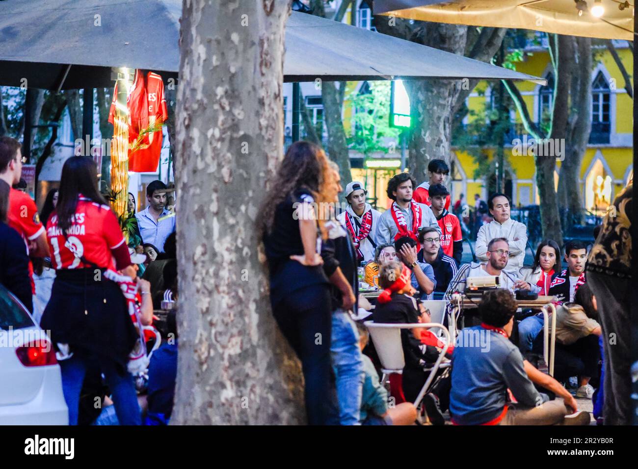 Benfica sporting supporters hi-res stock photography and images - Alamy